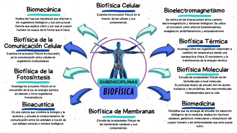 Ramas Biofísica | PDF | Biofísica | Biología