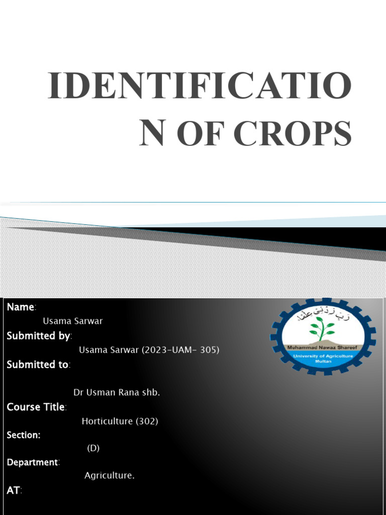 Identification of Crops | PDF | Olive | Trees