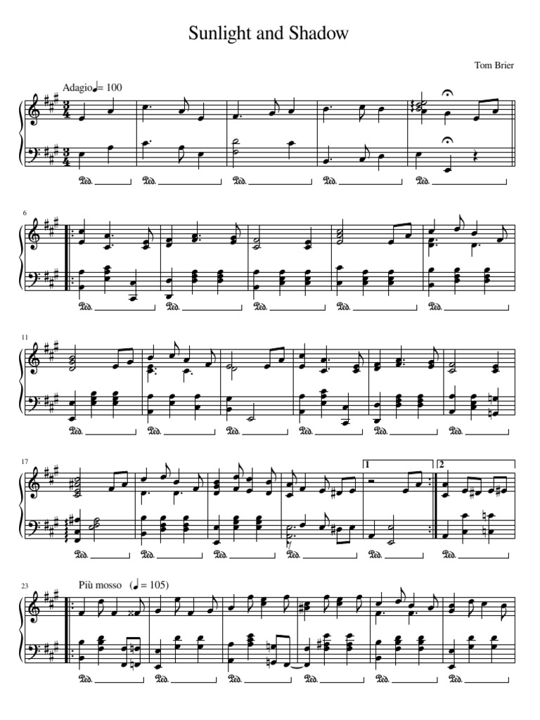 7 Sunlight and Shadow | PDF