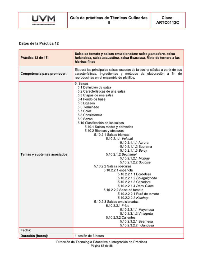 Practica 12 Tecnicas II | PDF