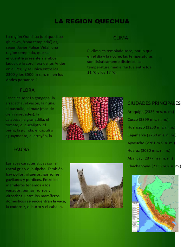 Info de Geografia Region Quechua | PDF | Historia