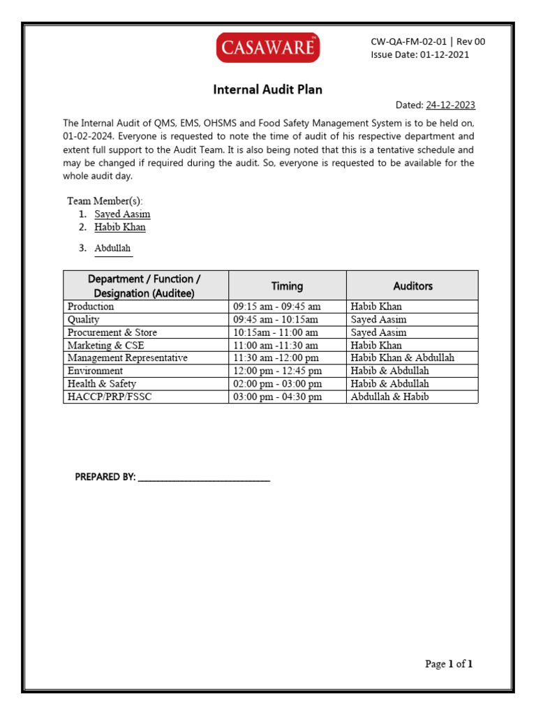 (01) Internal Audit Plan | PDF