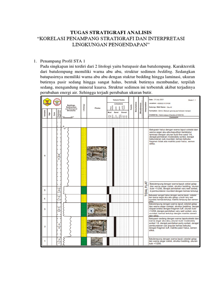 Korelasi Stratigrafi dan Litologi | PDF