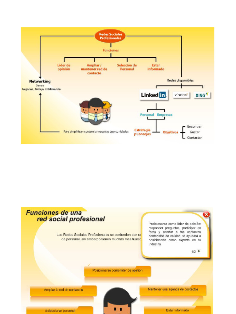 Redes Profesionales | PDF
