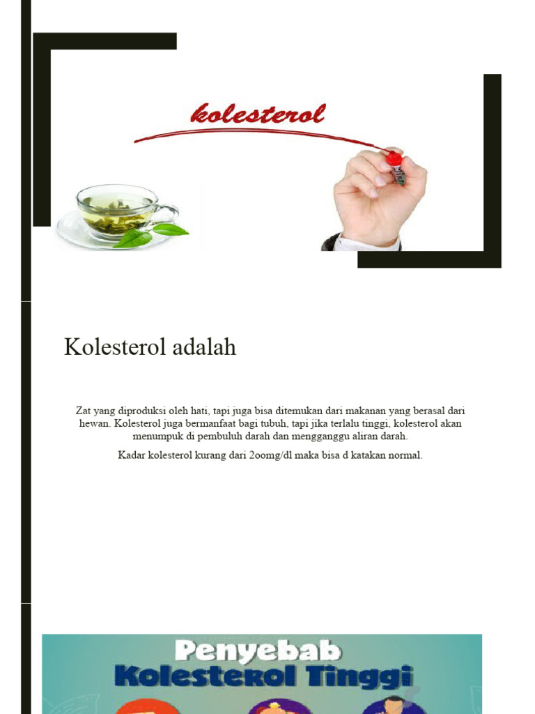 Leaflet Kolesterol | PDF