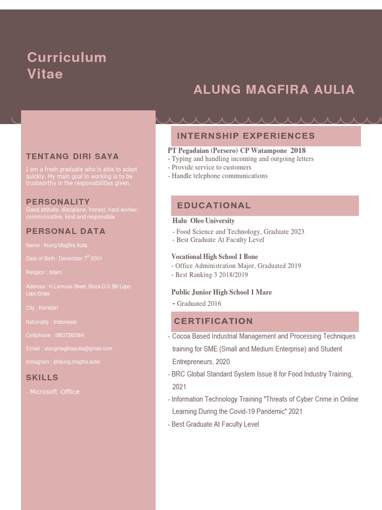 CV Inggris - Alung Magfira Aulia | PDF