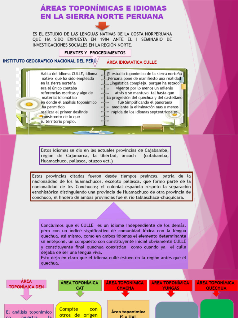Importancia | PDF | Idiomas | Estudios de idiomas extranjeros