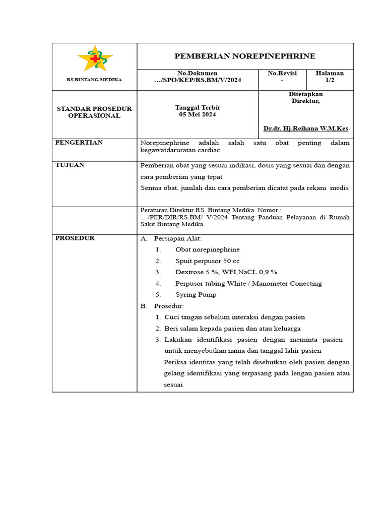 Prosedur Pemberian Norepinephrine | PDF