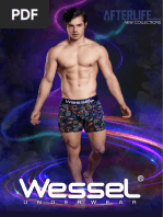 STABILO Hand and Brush Lettering Guide | PDF | Typefaces | Serif