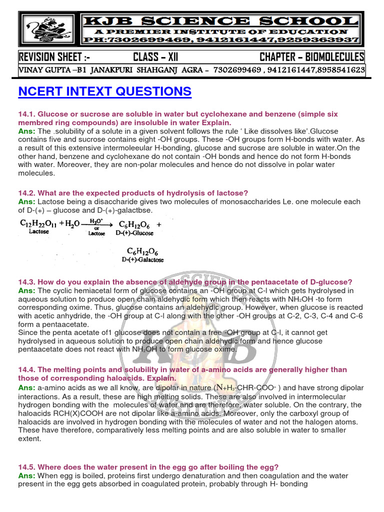 KJB Mega Sheet Ncert Biomolecules-1 | Download Free PDF | Carbohydrates ...