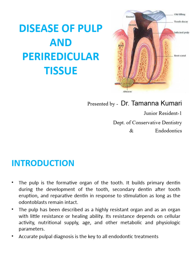 2S1 Disease of Pulp and Periradicular Tissue | Download Free PDF ...