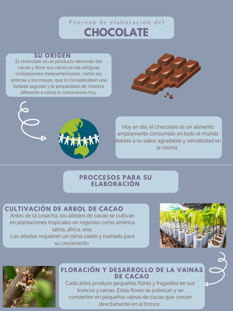 Proceso de Elaboración del Chocolate | PDF | Chocolate