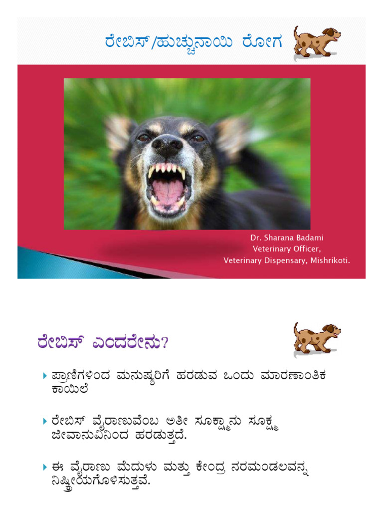 Rabies PPT | PDF