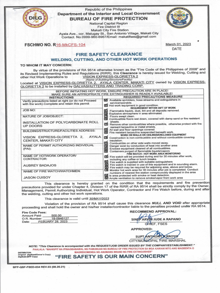 BFP-Vision Express | PDF