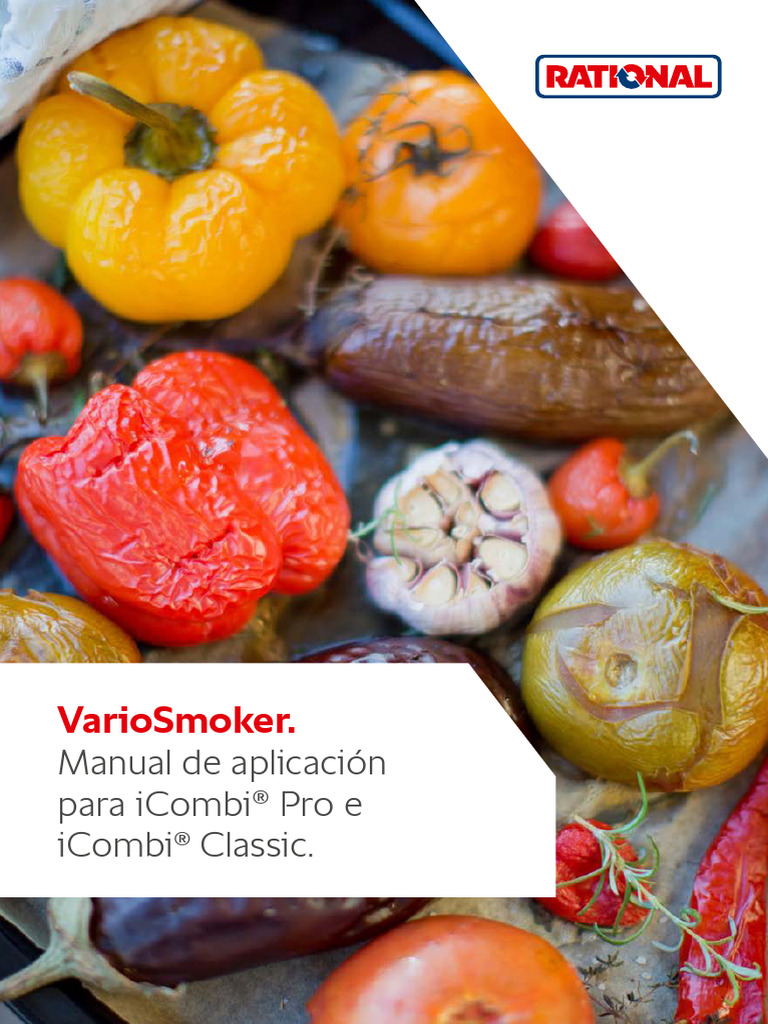 Manual de Aplicación Variosmoker Icombi Espanol | PDF | sal | Carne