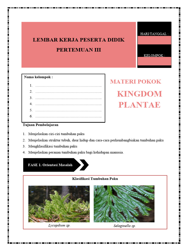 LKPD Kingdom Plantae (Tumbuhan Paku) | PDF