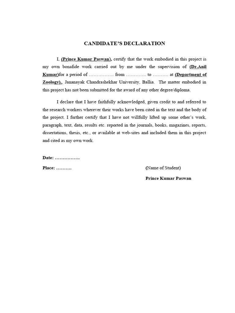 Initial Pages Research Research Page 2 | PDF