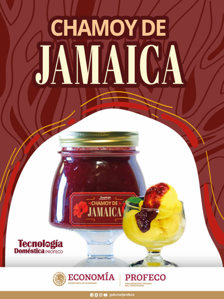 Chamoy de Jamaica | PDF