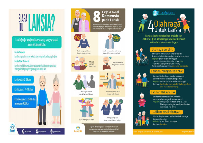 Leaflet Penyuluhan Lansia | PDF