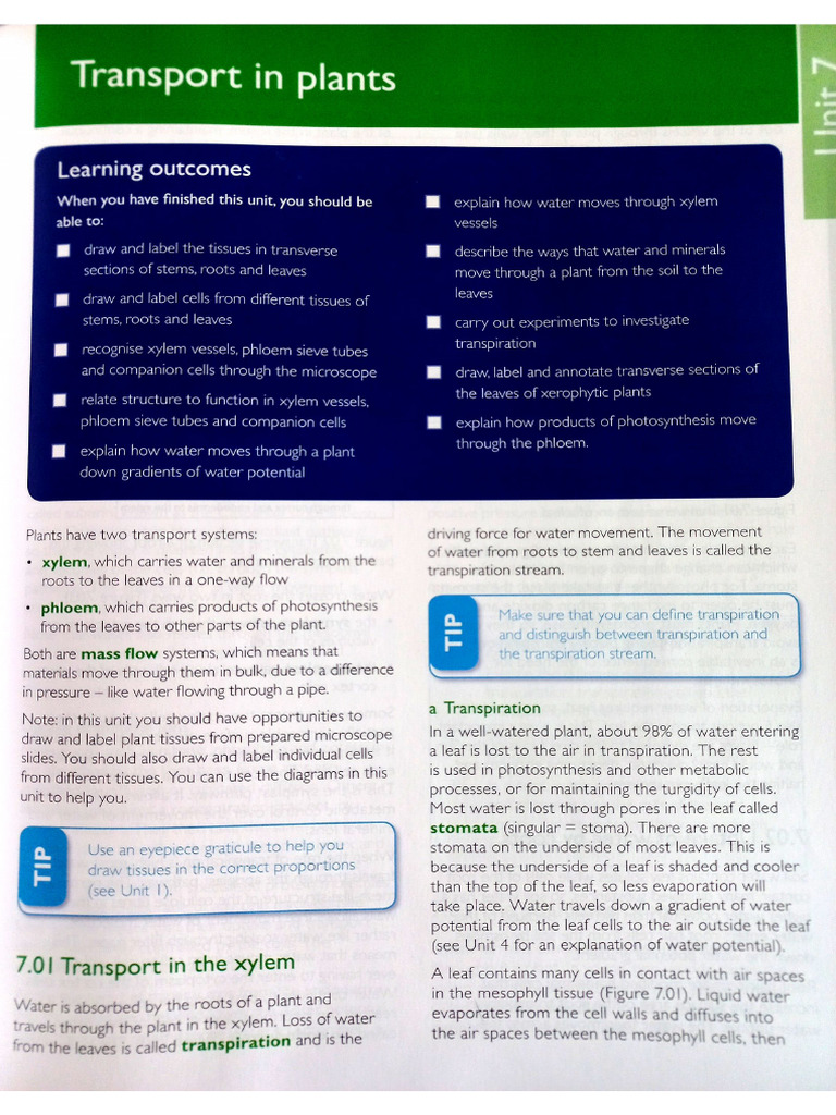 Plant Transport AS CIE Book Scan | PDF