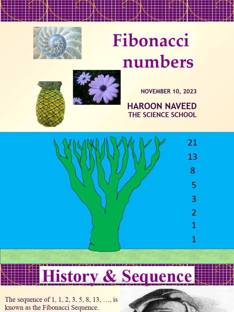 Understanding Fibonacci Numbers and Spirals | PDF | Numbers ...
