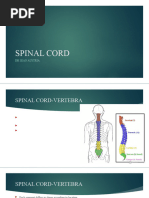 Overview of Spinal Cord Tracts | PDF | Spinal Cord | Vertebral Column