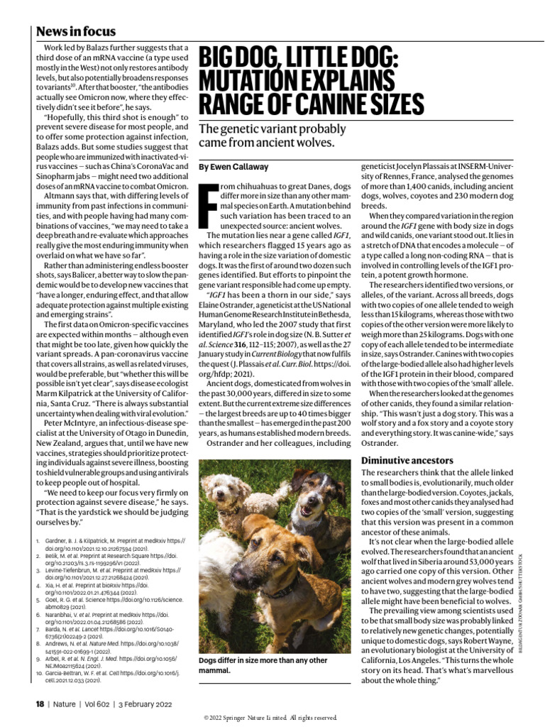 CallawayE - 2022:02 - Big Dog, Litle Dog - Mutation Explains Range of ...