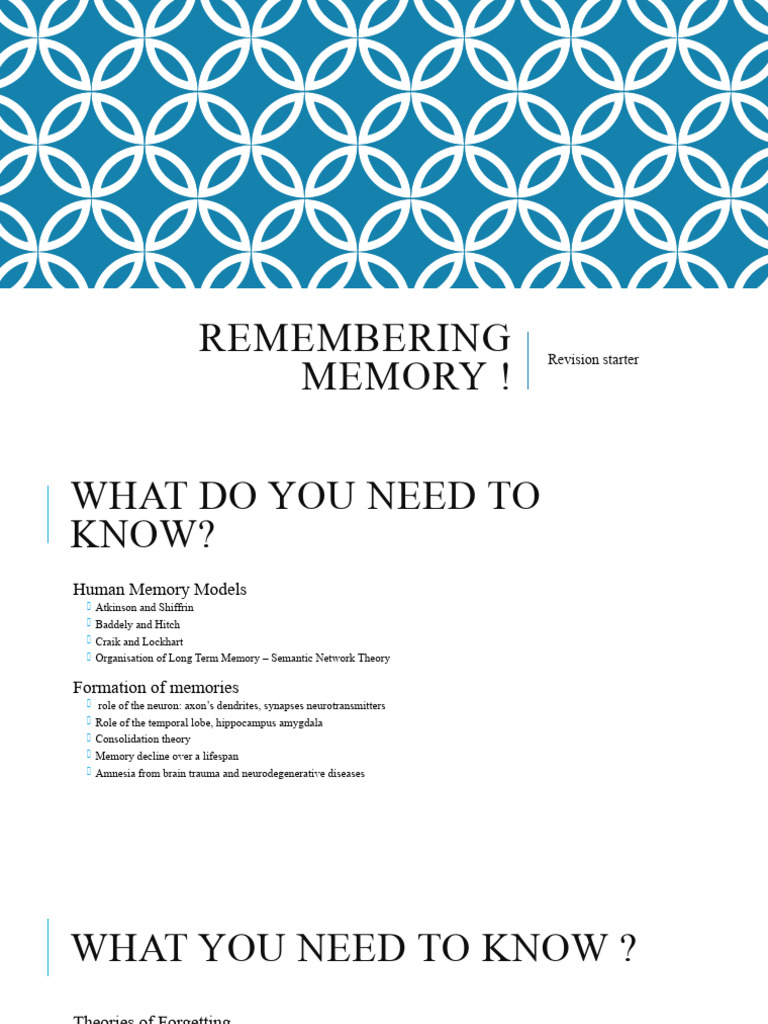 Remembering Memory ! | PDF | Memory | Long Term Memory