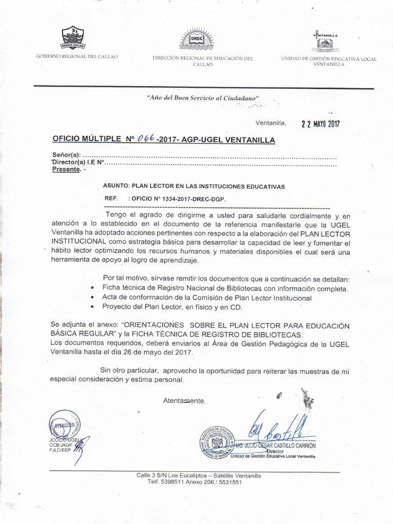 PLAN_LECTOR_UGEL | PDF