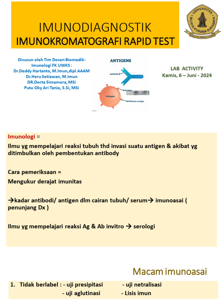Imunodiagnostik Imunokromatografi Rapid Test 2024 | PDF