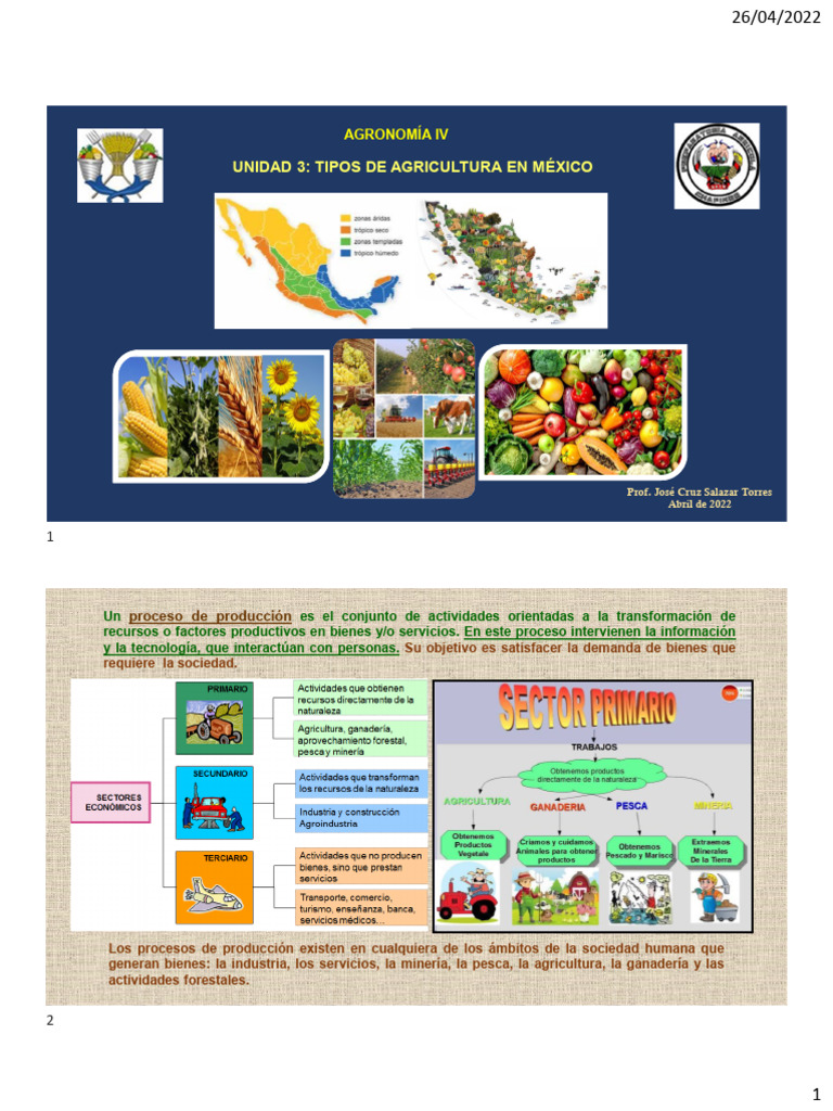 Tipos de Agricultura en México: Guía Completa | PDF | Agricultura ...