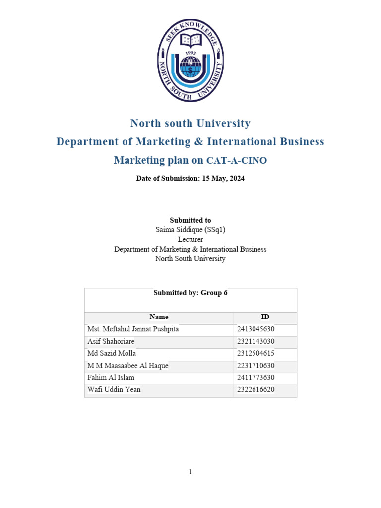 MKT 202 Group-6 Report Final Version Word | PDF | Pricing | Social Media