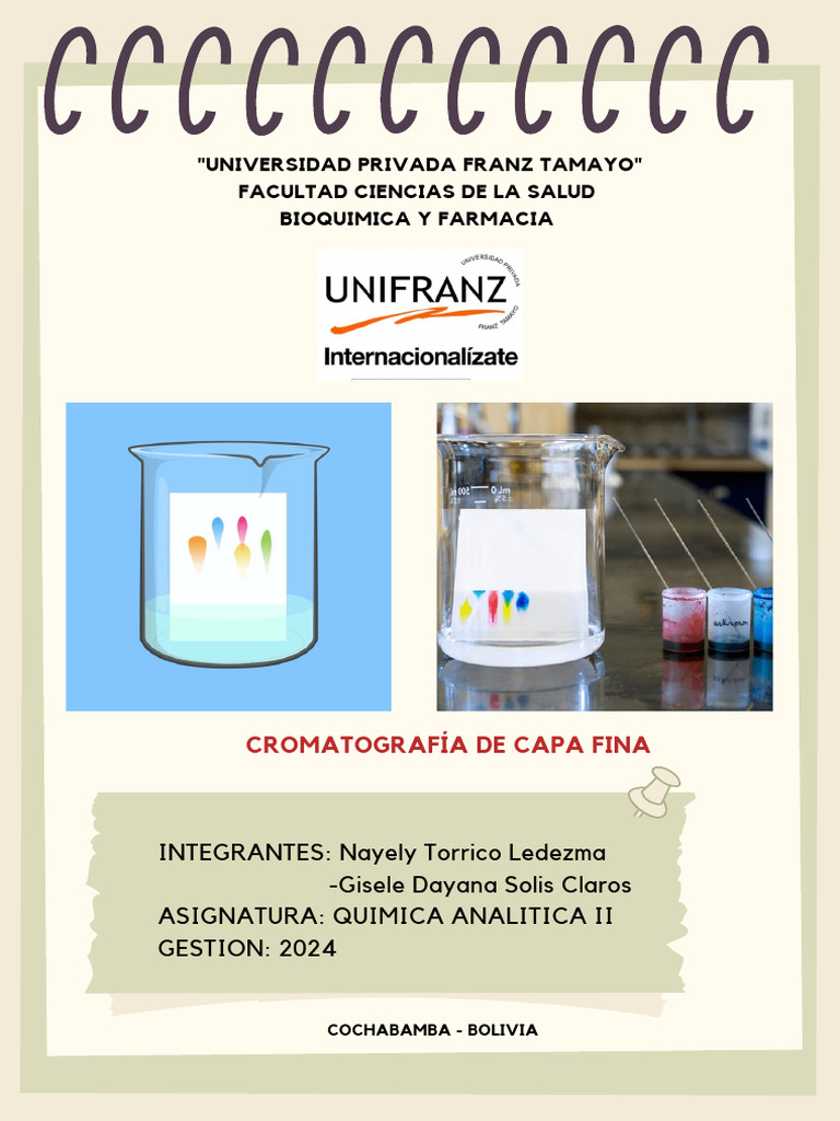 Cromatografia - Analitica | PDF | Cromatografía | Cromatografía de capa fina