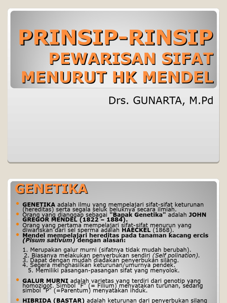 ppt-MEKANISME PEWARISAN SIFAT HUKUM MENDEL-P Gun | PDF
