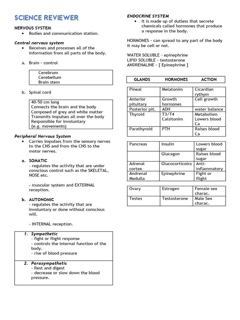 Science Reviewer | PDF | Menstrual Cycle | Labia