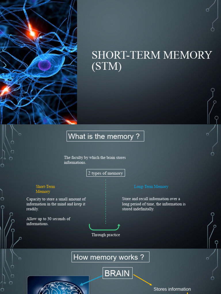 Short-Term Memory Presentation | PDF | Science & Mathematics | Computers