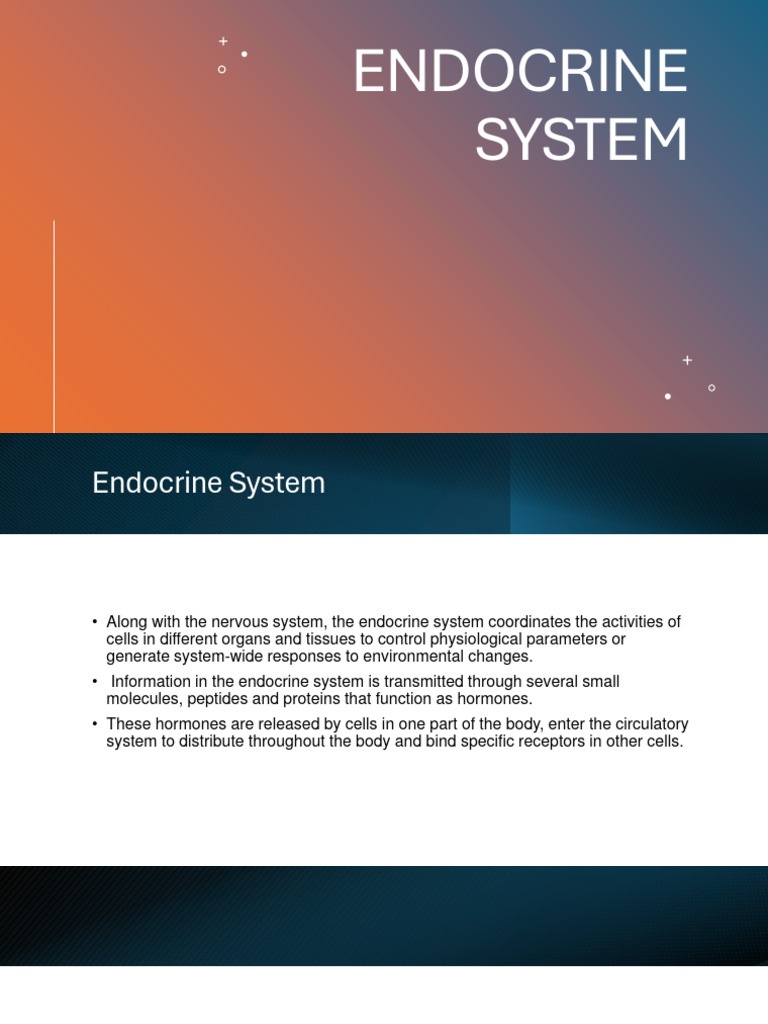 Histology Lecture 7 Endocrine System Pdf Endocrine System