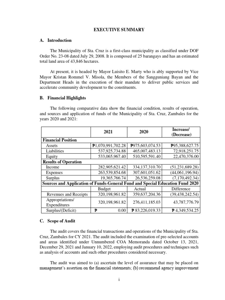 Sta.-Cruz-Executive-Summary-2021 | PDF | Procurement | Expense