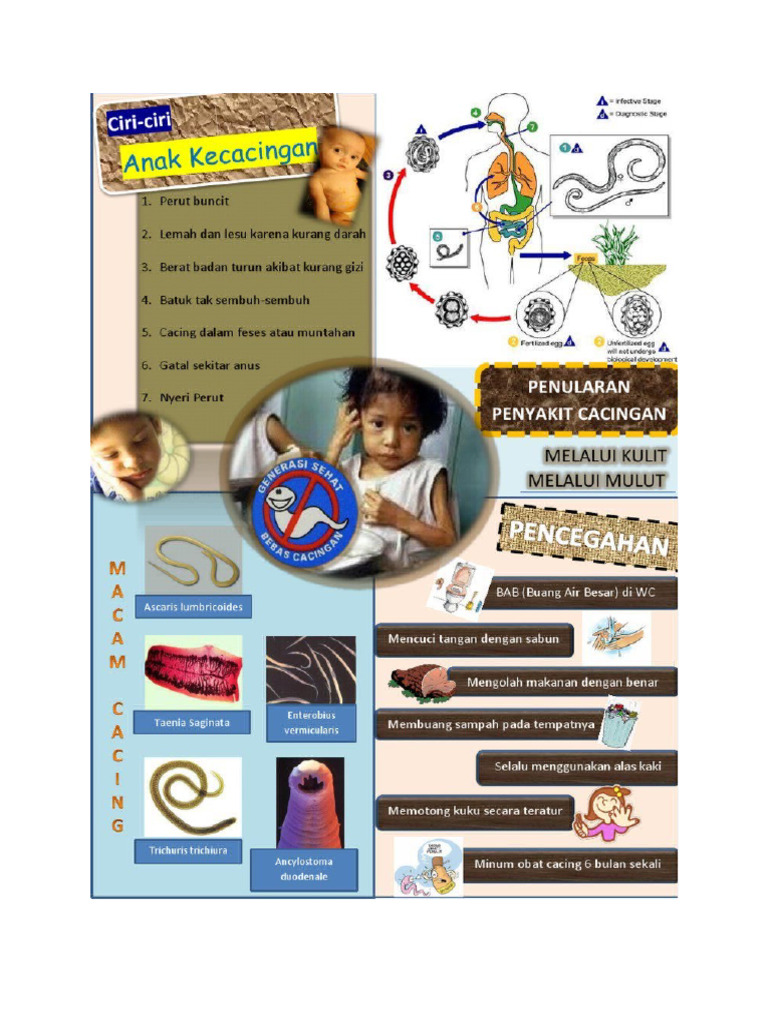 Bahan Kecacingan | PDF
