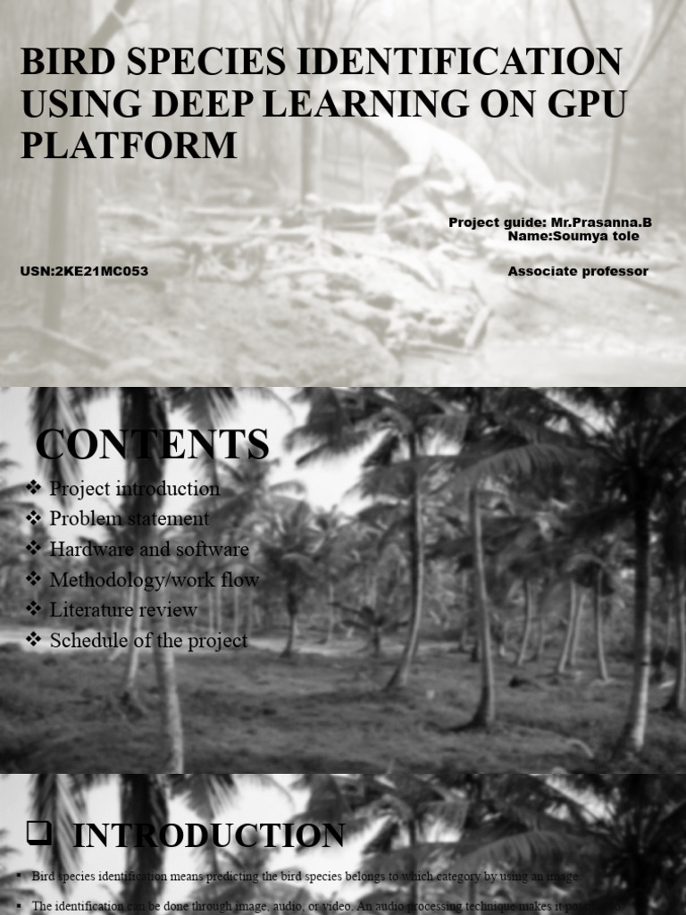 BIRD PPT | PDF | Deep Learning | Computing