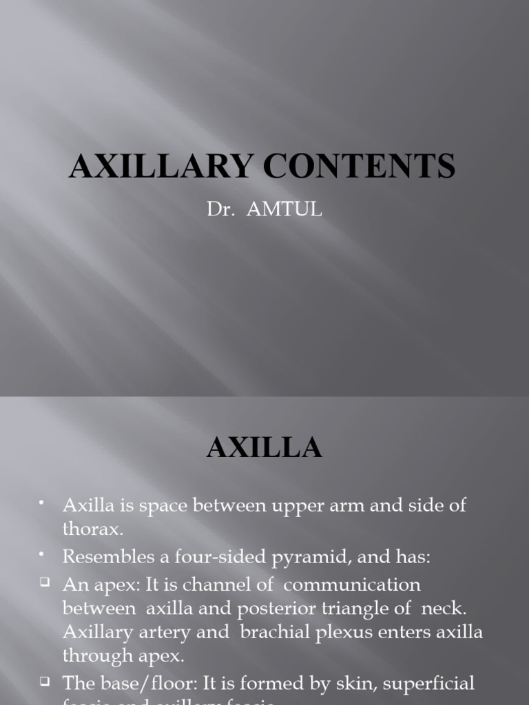 Axillary Contents | PDF | Arm | Anatomy
