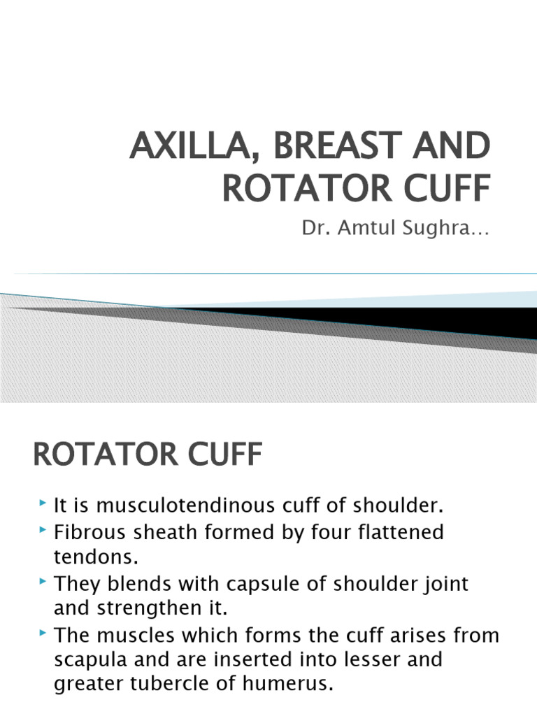 Axilla and Breast | PDF | Breast | Shoulder