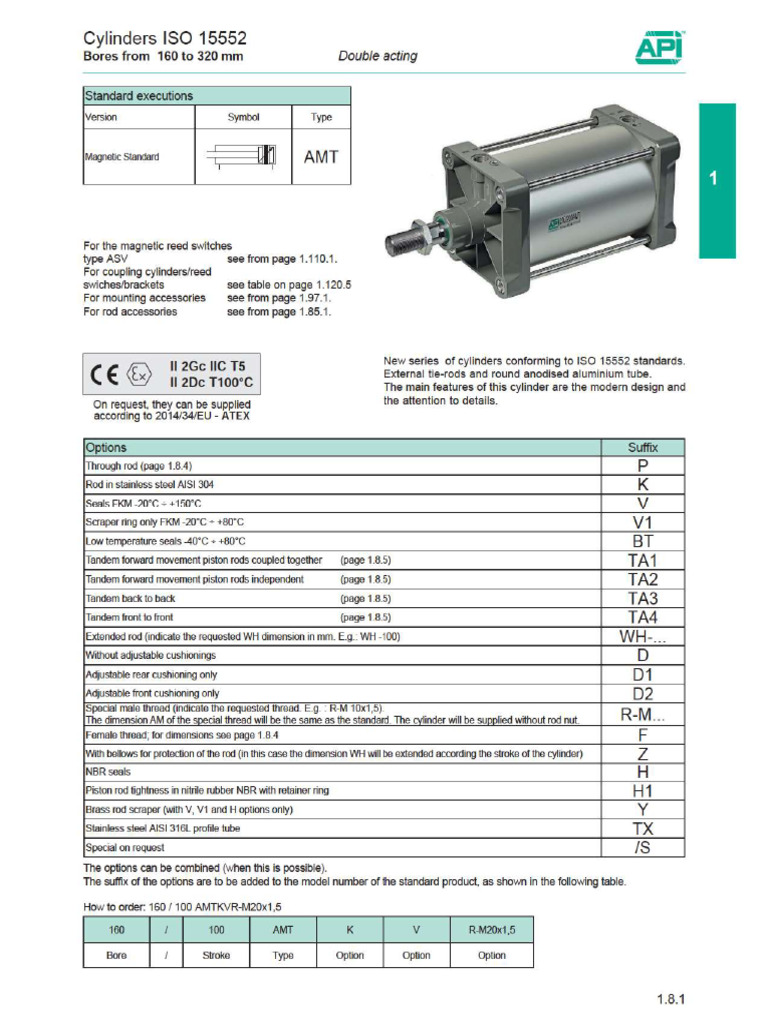 AMT Cylinders | PDF