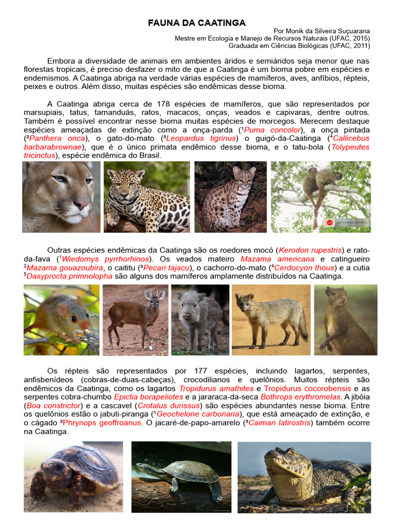 Fauna Da Caatinga | PDF | Jaguar | Extinção