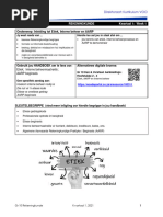 IGO Graad 10 PAT | PDF