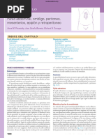 Espacio Subinguinal | PDF