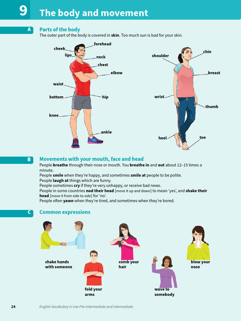Parts of the Body | PDF