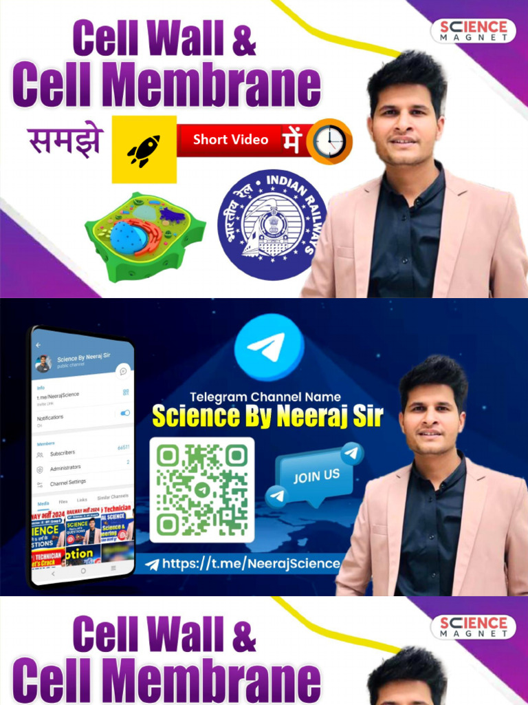 Cell Wall Cell Membrane Pdf Pdf