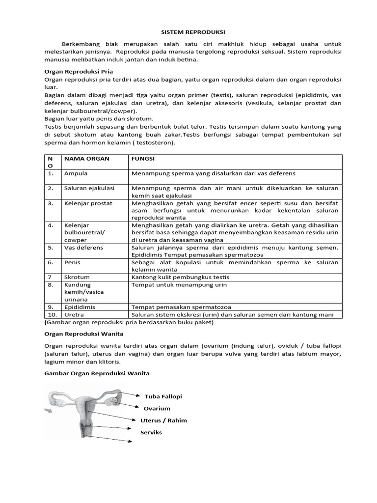 Bahan Ajar Sistem Reproduksi Dan Sistem Imunitas Tubuh | PDF | Sains & Matematika