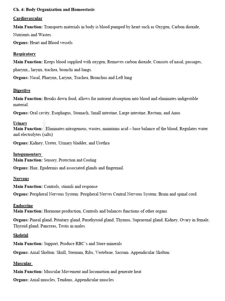 Ch. 4 Body Organization and Homeostasis | PDF | Human Body | Epithelium